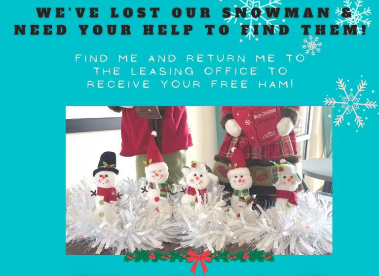 Missing Snowman – Madison at Westinghouse